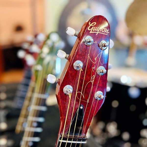 U.K. Brian May Red Special Meet-up TVH 2022 – dsgb